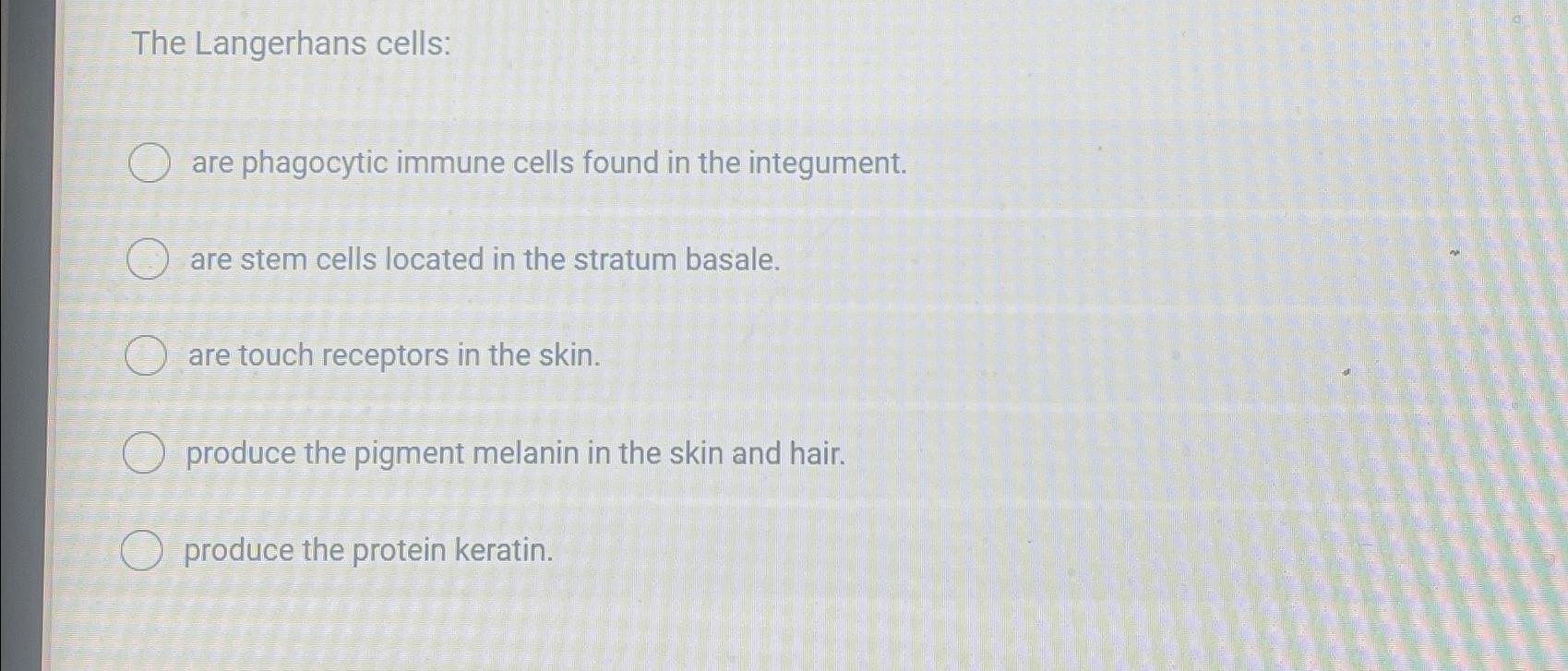 Solved The Langerhans cells:are phagocytic immune cells | Chegg.com