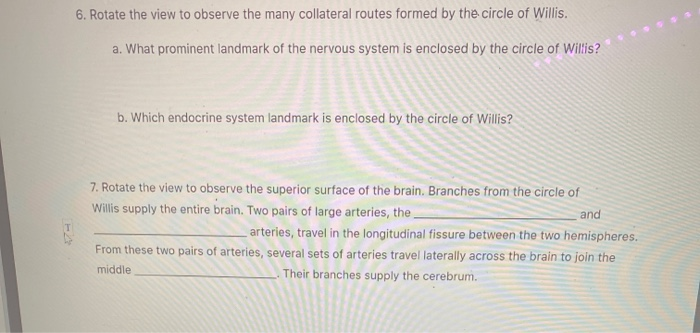 Solved 6. Rotate the view to observe the many collateral | Chegg.com