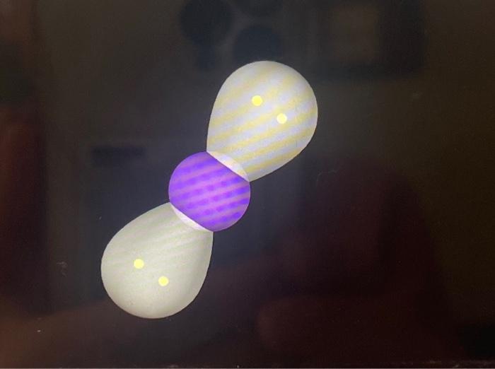 Solved PhET Simulation Model 1. Along the right-hand side of | Chegg.com