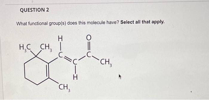 Solved What functional group(s) does this molecule have? | Chegg.com