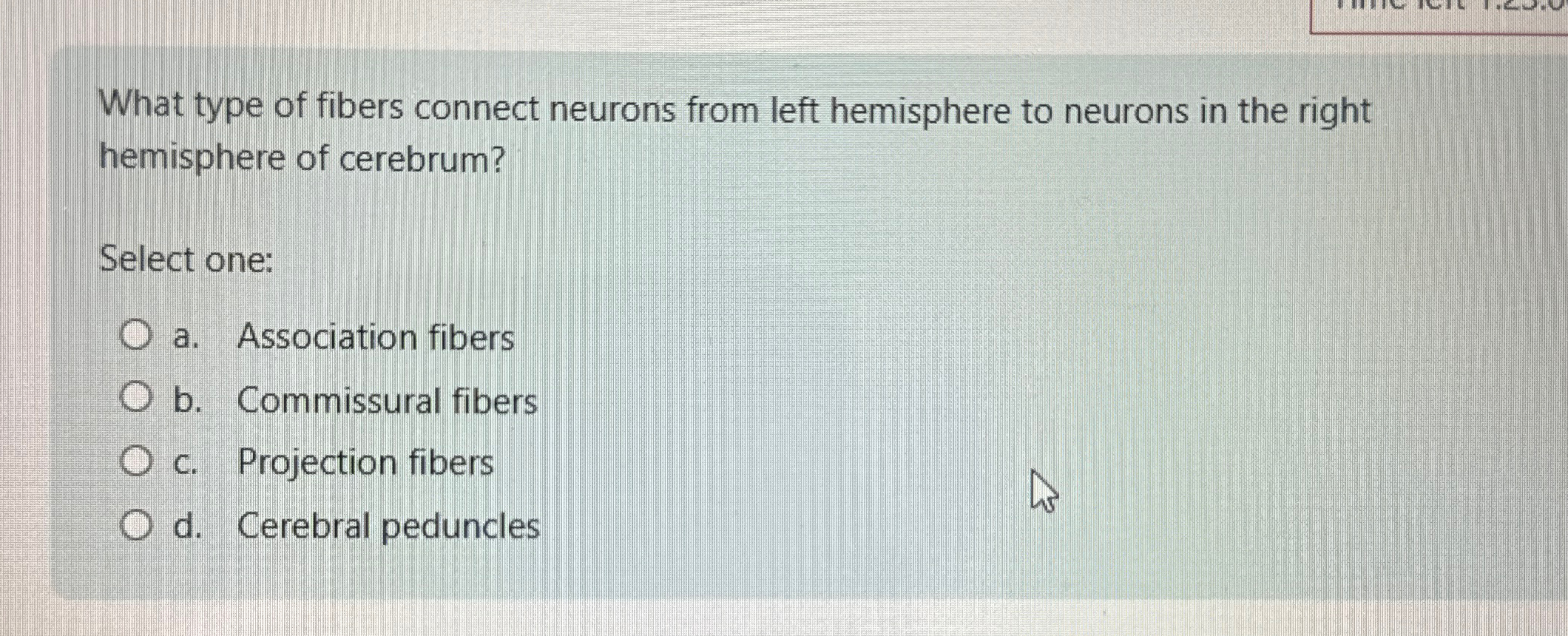 Solved What type of fibers connect neurons from left | Chegg.com