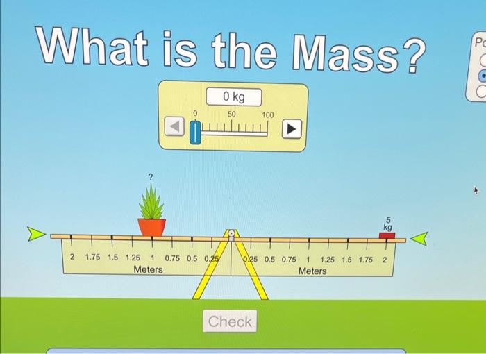 Solved What is the Mass? Check | Chegg.com