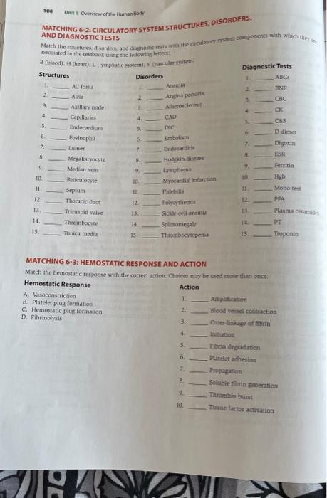 Solved 105 Unet Oreniew of the Huinan Sotr. MATCHING 6-2; | Chegg.com