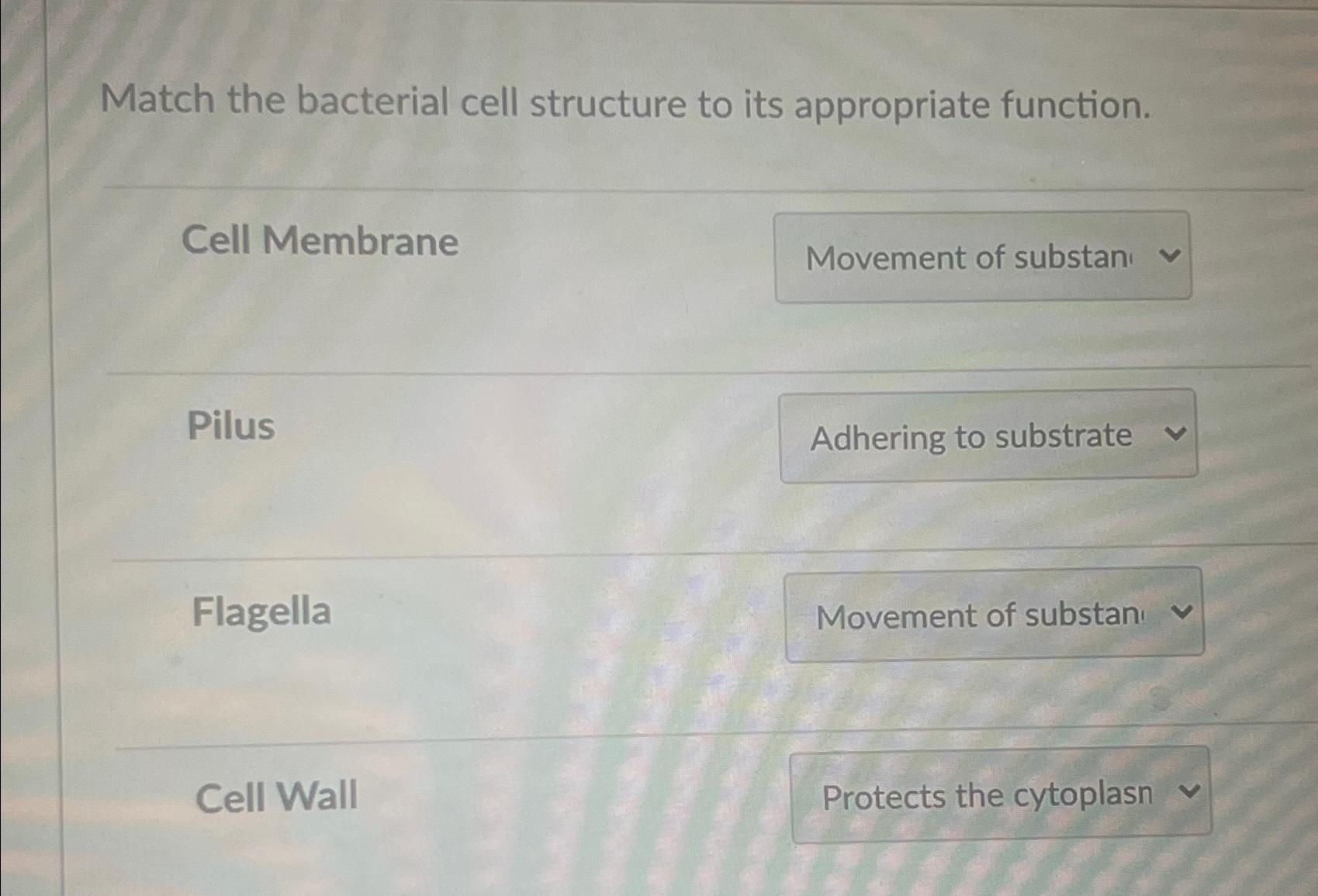 Solved Match the bacterial cell structure to its appropriate | Chegg.com