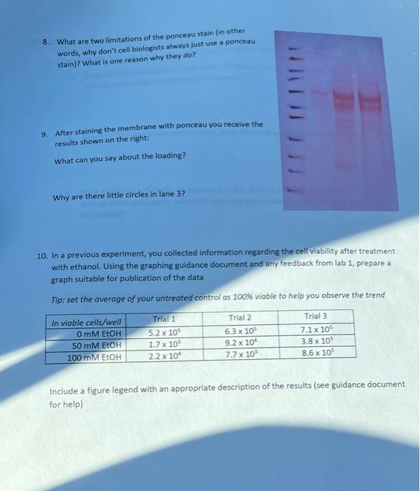 Solved 8. What are two limitations of the ponceau stain (in | Chegg.com