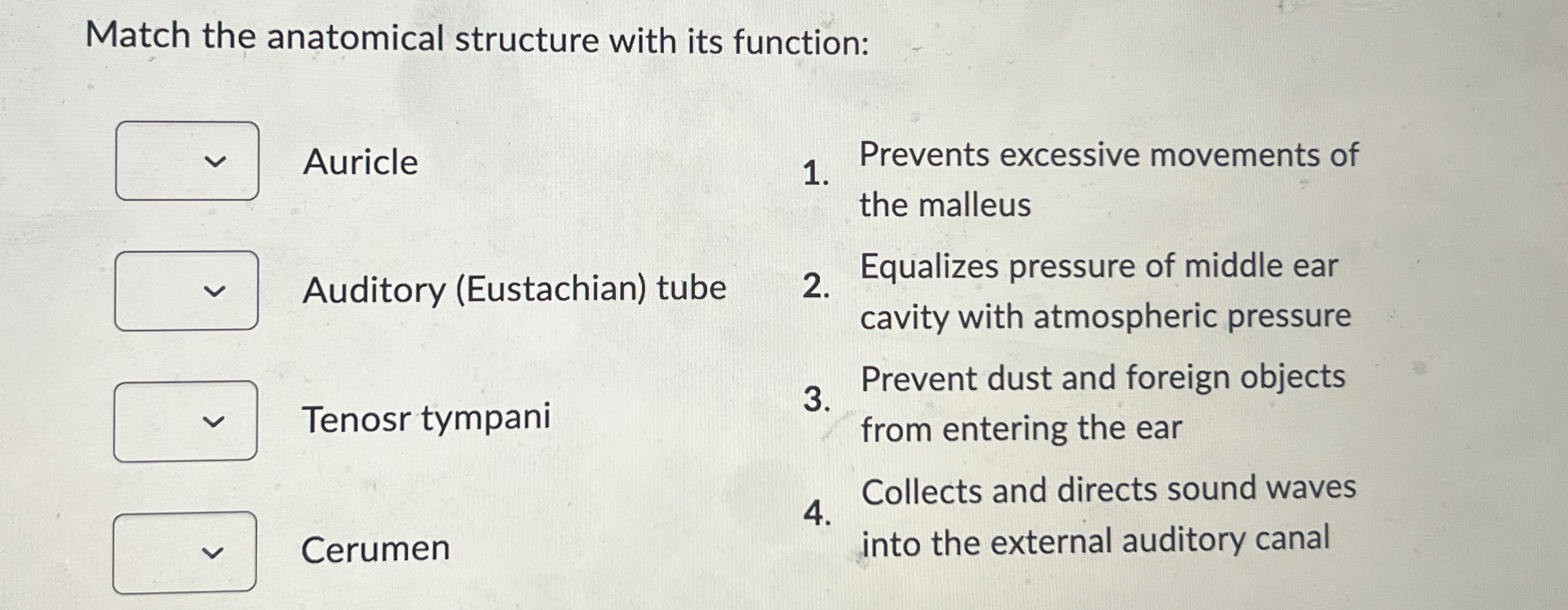 Solved Match the anatomical structure with its | Chegg.com