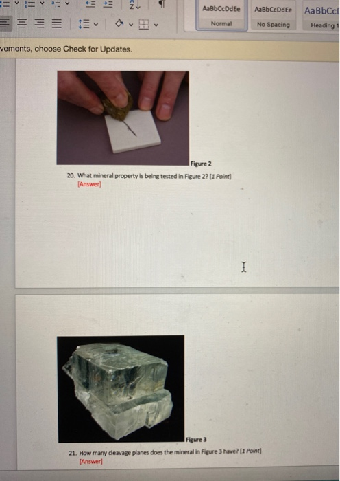 Solved 三日 21 AaBbCcDdEe AaBbCcDdEe AaBbCct EE Normal No | Chegg.com