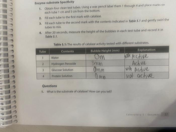 Solved Enzyme Substrate Specificity 1 Obtain Four Clean