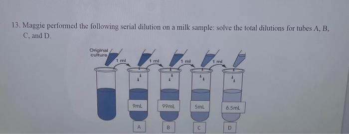 Solved 13. Maggie performed the following serial dilution on | Chegg.com