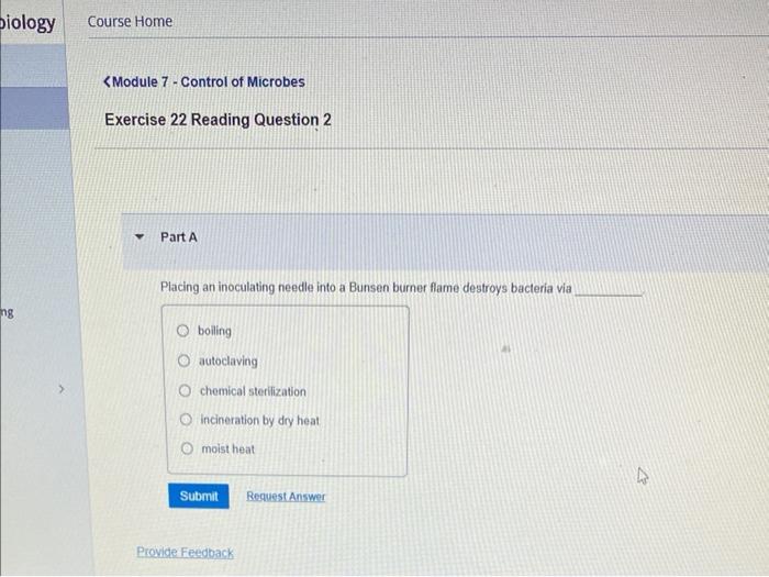 Solved Placing an inoculating needle into a Bunsen burner | Chegg.com