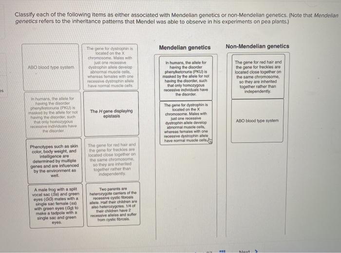 Solved Classify each of the following items as either | Chegg.com