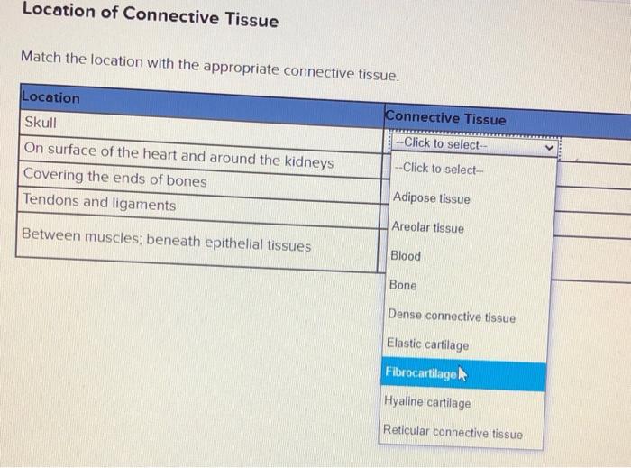 Solved Location of Connective Tissue Match the location with | Chegg.com Solved Location of Connective Tissue Match the location with | Chegg.com