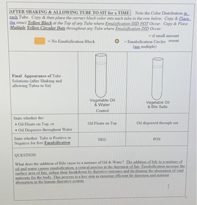 Solved DIGESTION PHYSIOLOGY LAB The following activities | Chegg.com