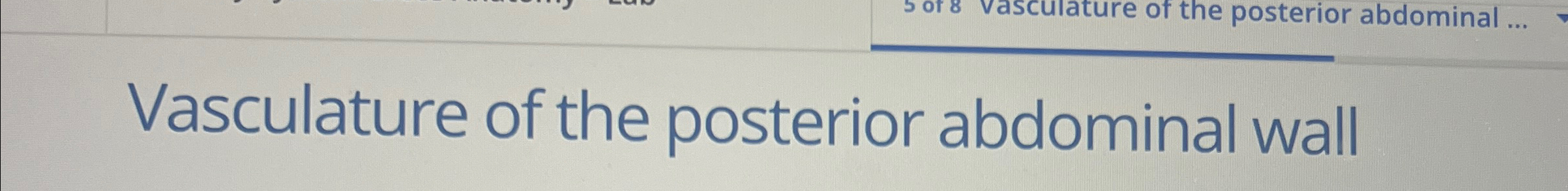 Solved Vasculature of the posterior abdominal wall | Chegg.com
