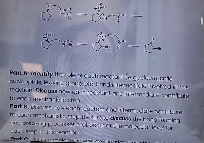 Solved Part A: identify the role of each reactant (e.g. | Chegg.com
