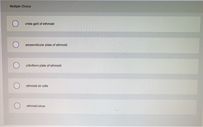Solved Which structure is highlighted? Multiple Choice | Chegg.com