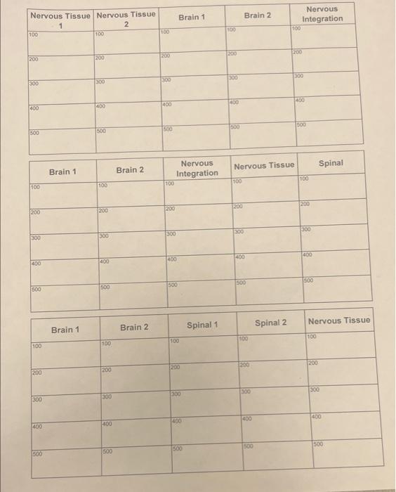 Solved Assignment 16: Nervous System Jeopardy Answer the | Chegg.com