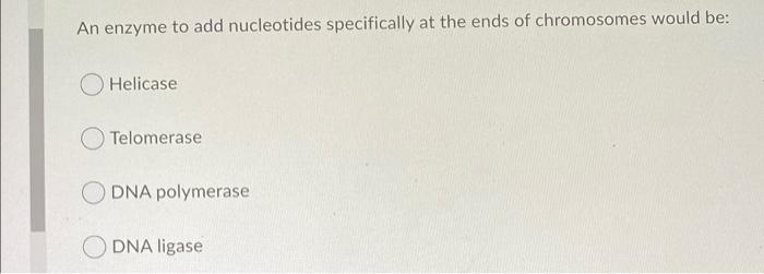 Solved An enzyme to add nucleotides specifically at the ends | Chegg.com
