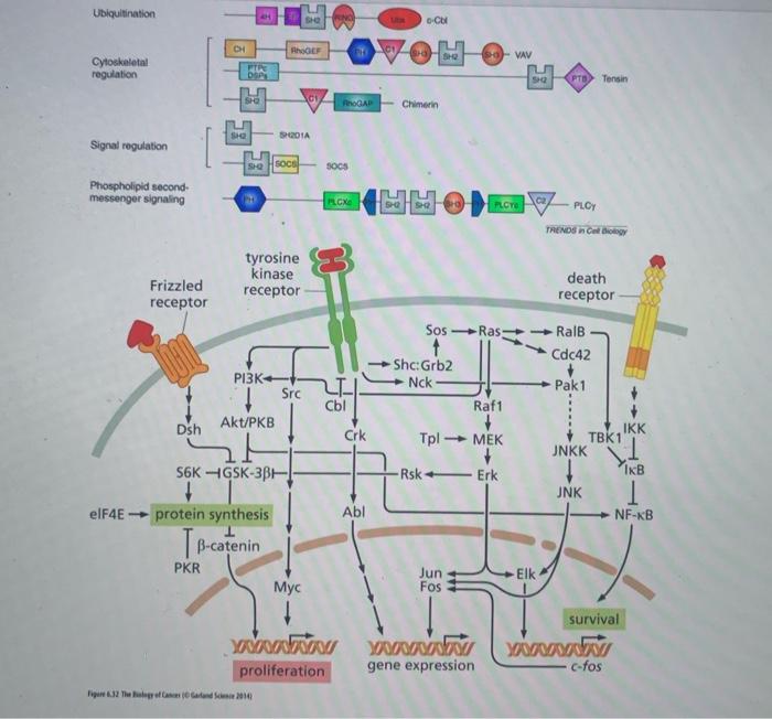 Solved The first picture demonstrates the modular nature of | Chegg.com