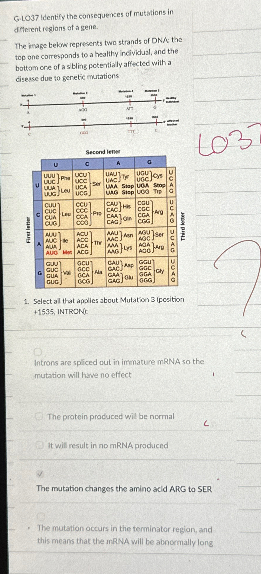 Solved G-LO37 ﻿Identify the consequences of mutations in | Chegg.com