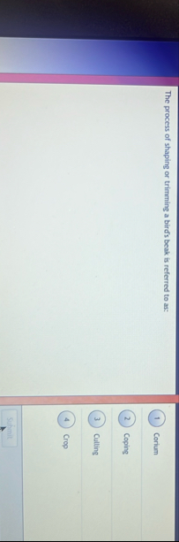 Solved The process of shaping or trimming a bird's beak is | Chegg.com