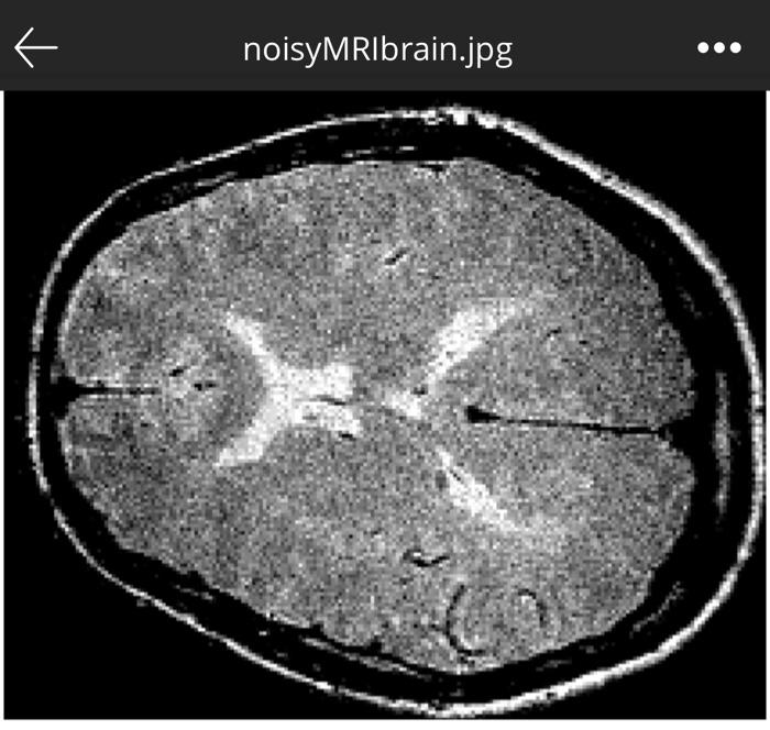 Solved Questions: 1. What is the difference between binary, | Chegg.com