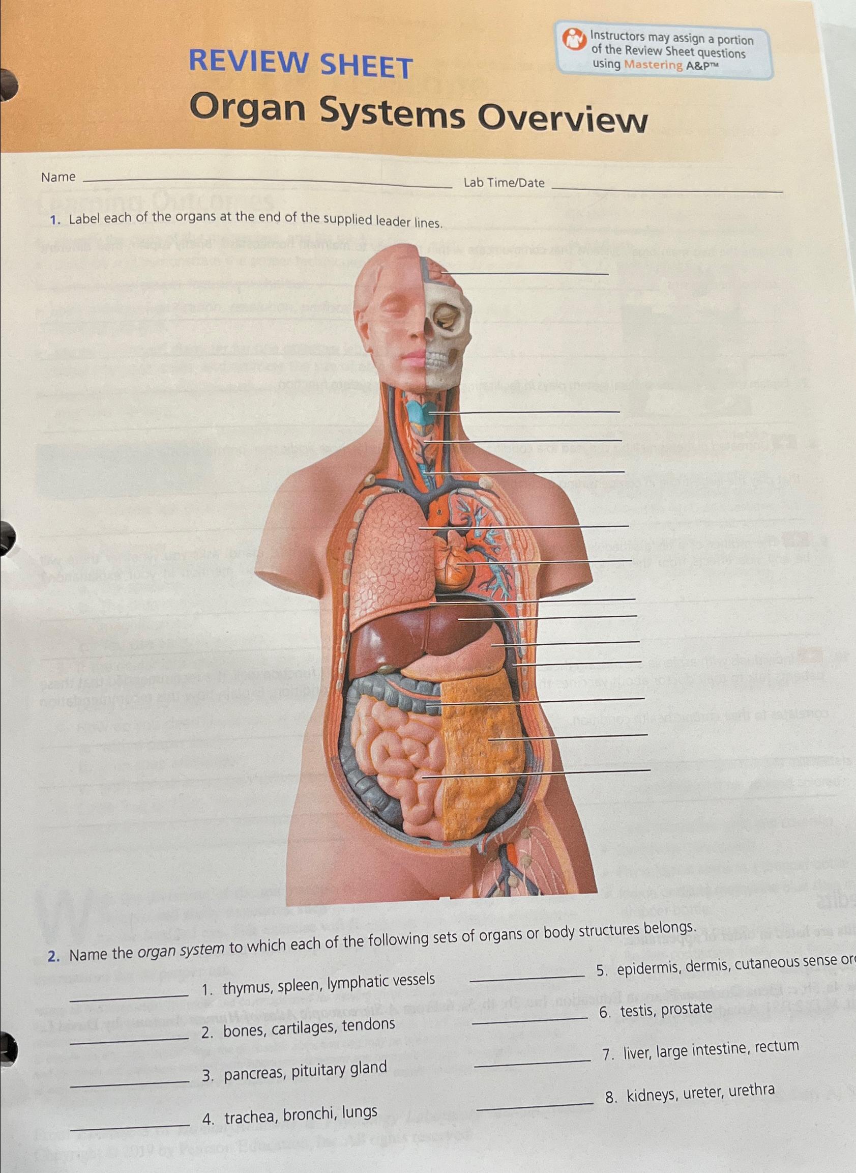 Solved REVIEW SHEETInstructors may assign a portionof the | Chegg.com