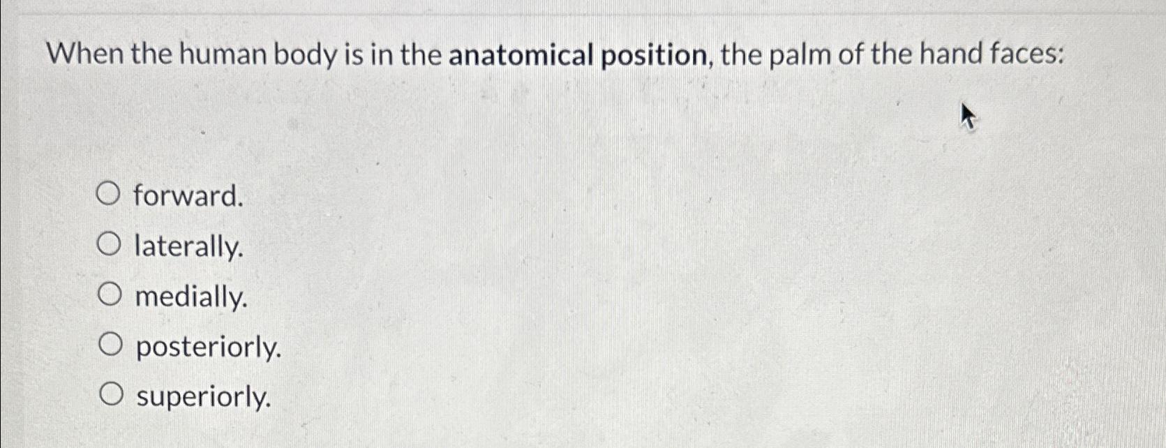 Solved When the human body is in the anatomical position, | Chegg.com
