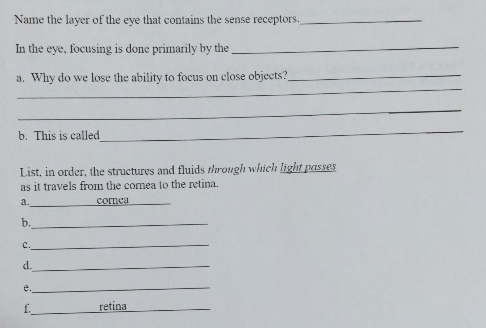 Solved Trace the structures a sound vibration would go | Chegg.com