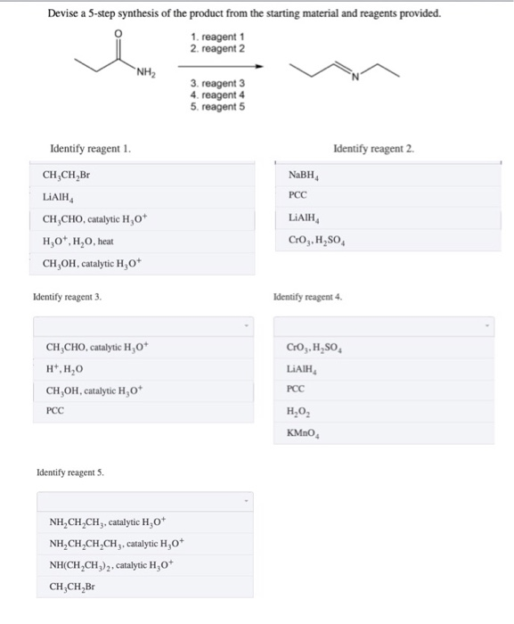 Solved Devise a 5-step synthesis of the product from the | Chegg.com