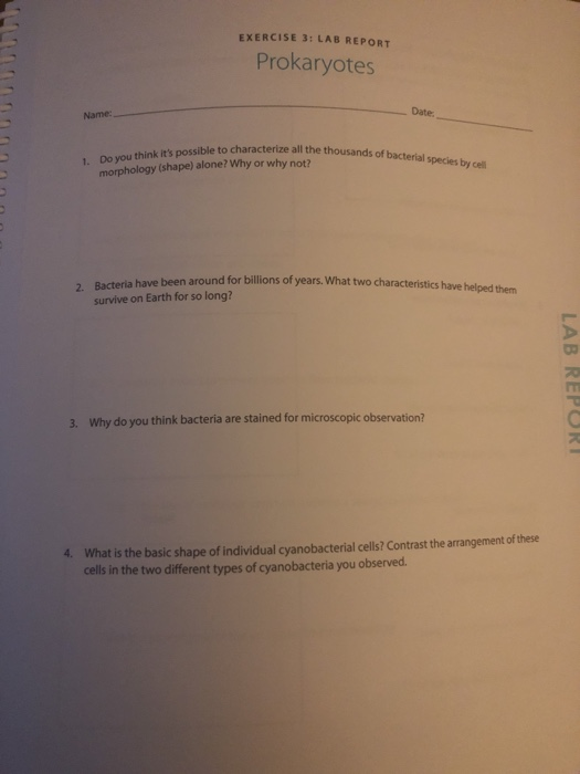 Solved EXERCISE 3: LAB REPORT Prokaryotes Name: Date: | Chegg.com