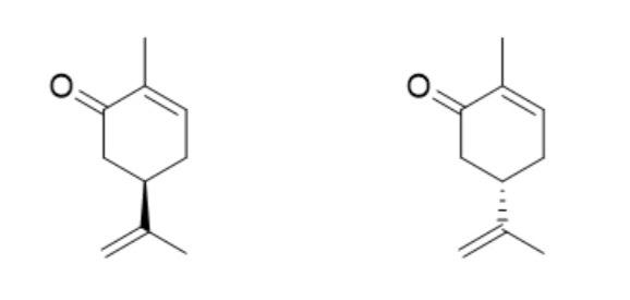 Solved Difference and Similaries between the two | Chegg.com
