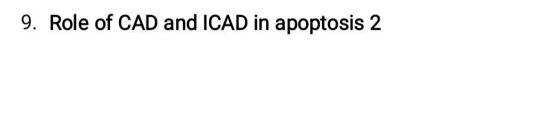 Solved Role of CAD and ICAD in apoptosis 2 | Chegg.com