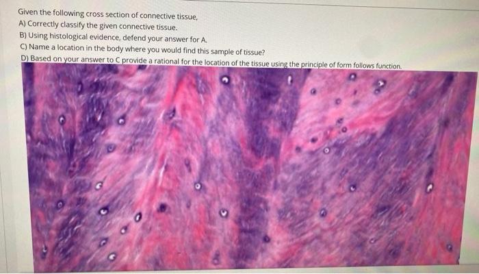 Solved Given the following cross section of connective | Chegg.com