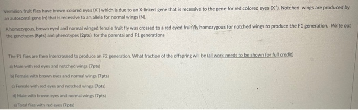 Solved Vermillion fruit files have brown colored eyes (X") | Chegg.com