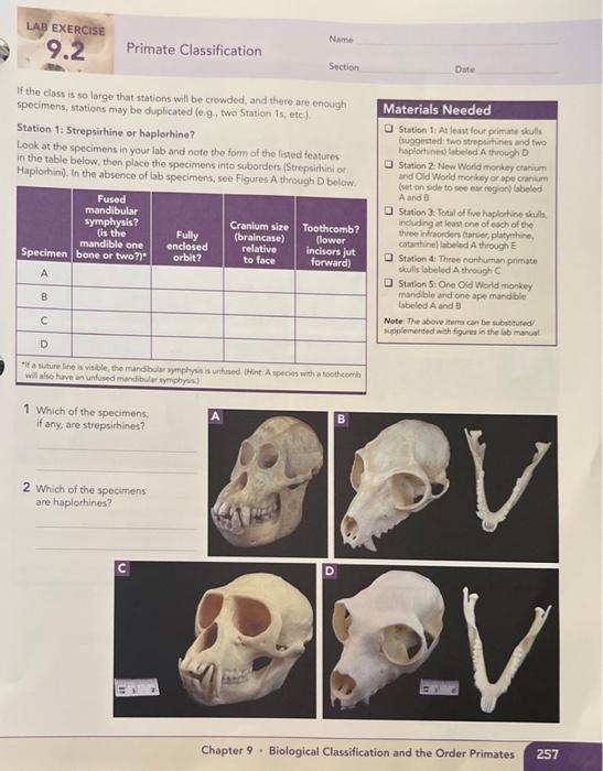 Solved LAB EXERCISE Nam 9.2 Primate Classification Section | Chegg.com