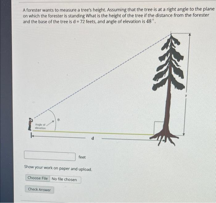 Solved A forester wants to measure a tree's height. Assuming | Chegg.com