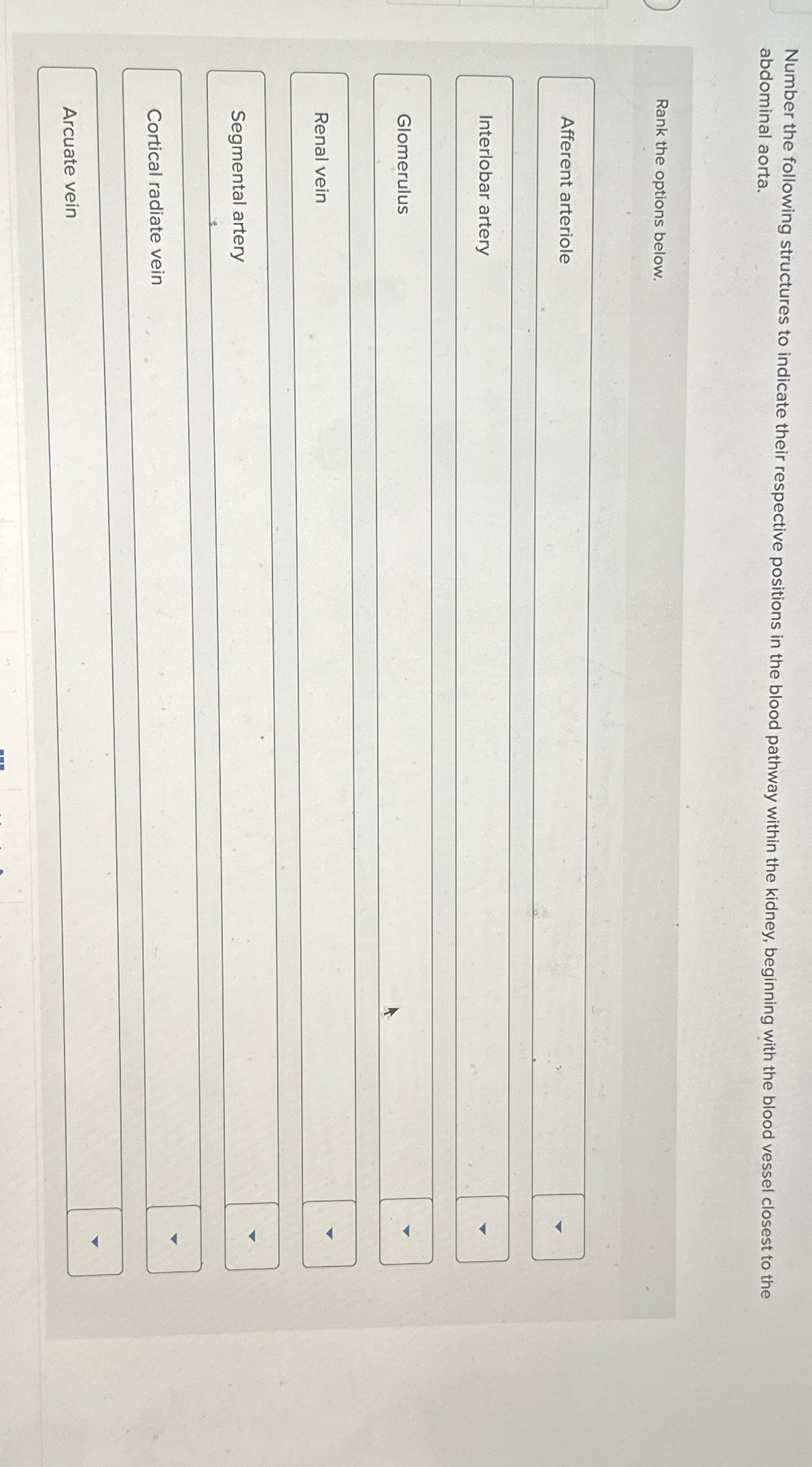 Solved Number the following structures to indicate their | Chegg.com