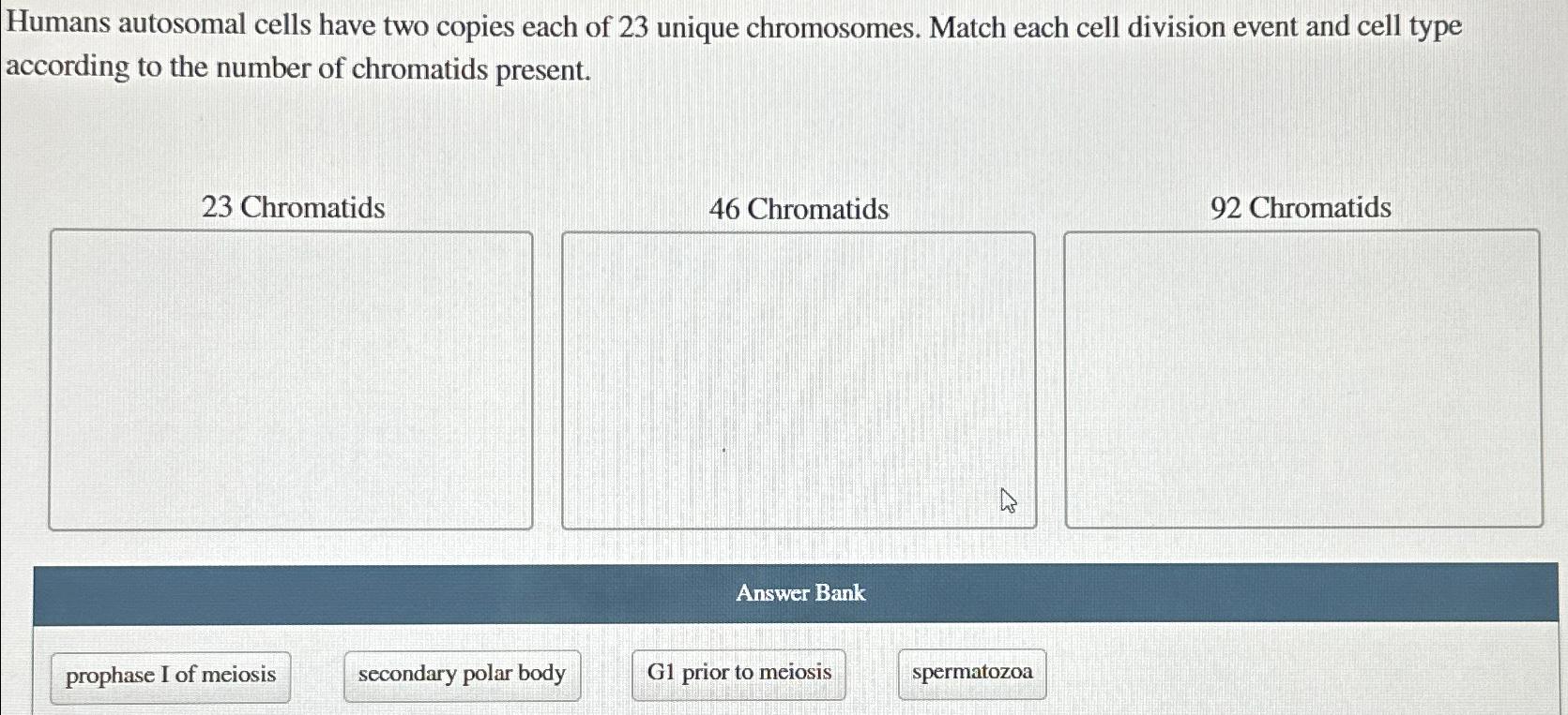 Solved Humans autosomal cells have two copies each of 23 | Chegg.com