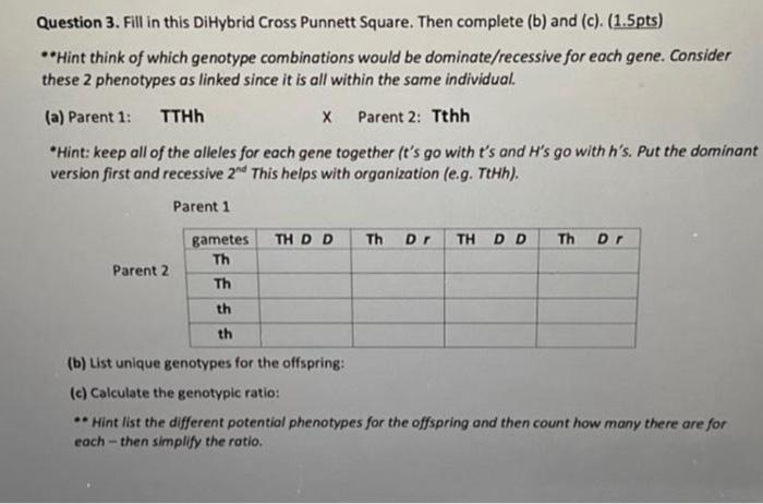 Solved Question 3. Fill in this DiHybrid Cross Punnett | Chegg.com