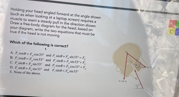 Solved How to solve Holding your head angled forward at the | Chegg.com
