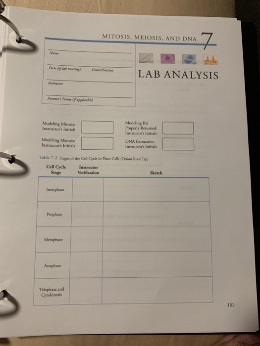 Solved Lab Analysis: Mitosis, Meiosis, and DNA Table 7-3. | Chegg.com