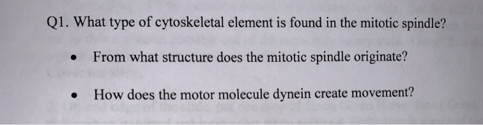 Solved Q1. What type of cytoskeletal element is found in the | Chegg.com