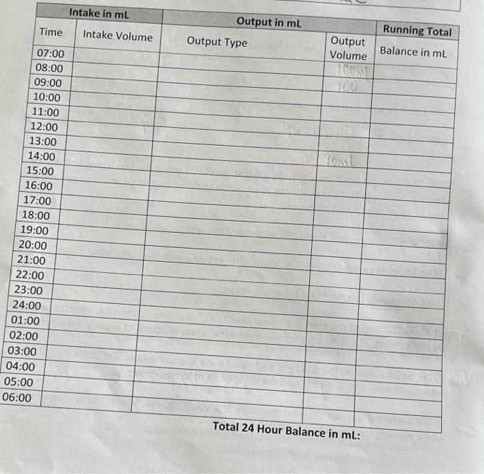 Solved INTAKE \& OUTPUT Document the findings on the | Chegg.com