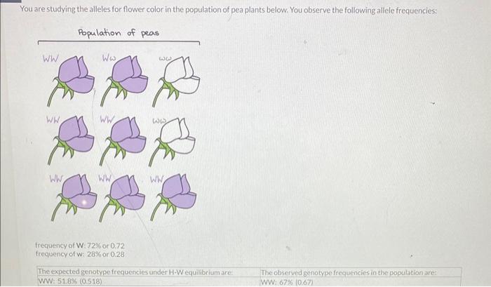 Solved You are studying the alleles for flower color in the | Chegg.com