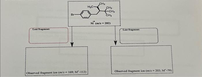 Solved In an electron-ionization (EI) mass spectrometry | Chegg.com