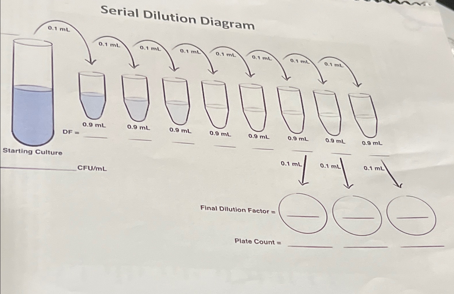 Solved Serial Dilution Diagram0.1mLDF =CFUmLStarting | Chegg.com