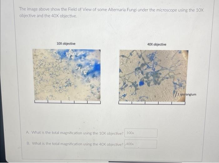 Solved The image above show the Field of View of some | Chegg.com