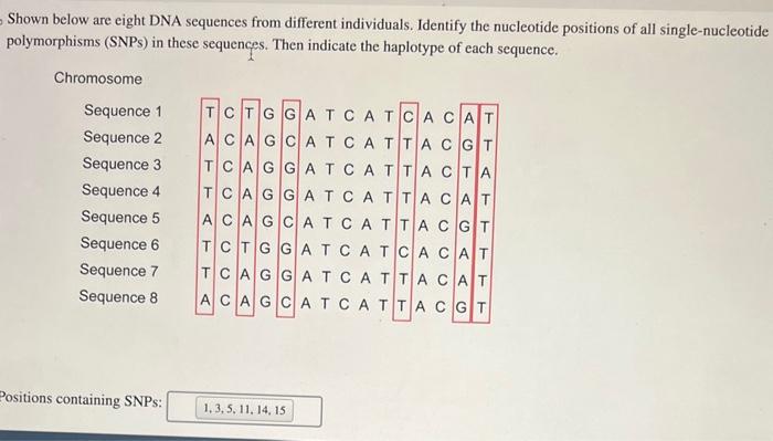 Shown Below Are Eight Dna Sequences From Different 