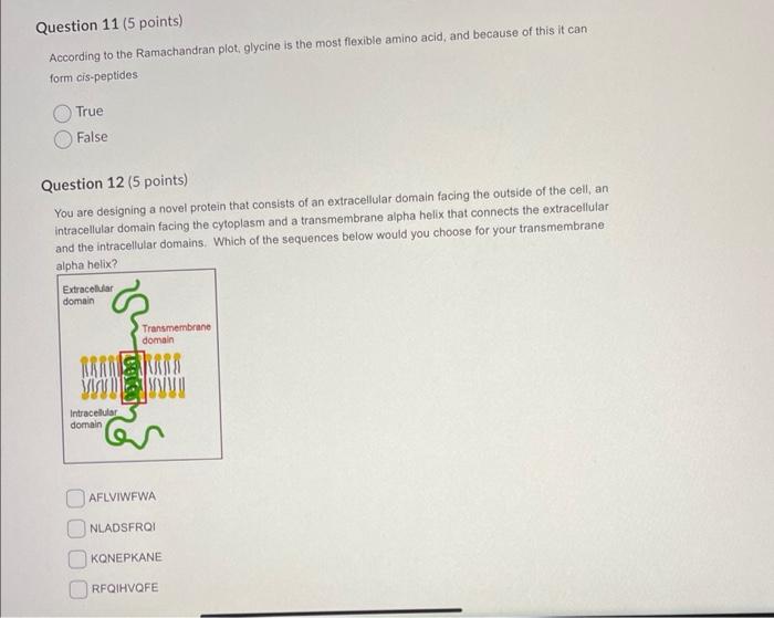 Solved Question 11 (5 points) According to the Ramachandran | Chegg.com